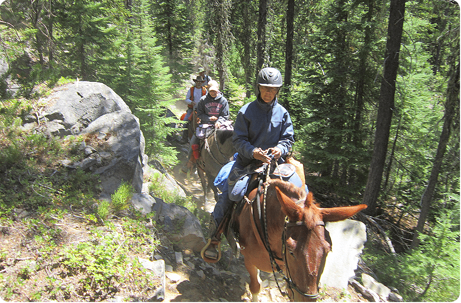 Wilderness Horse Adventures is a Horseback Riding Company in Bend, OR 97701